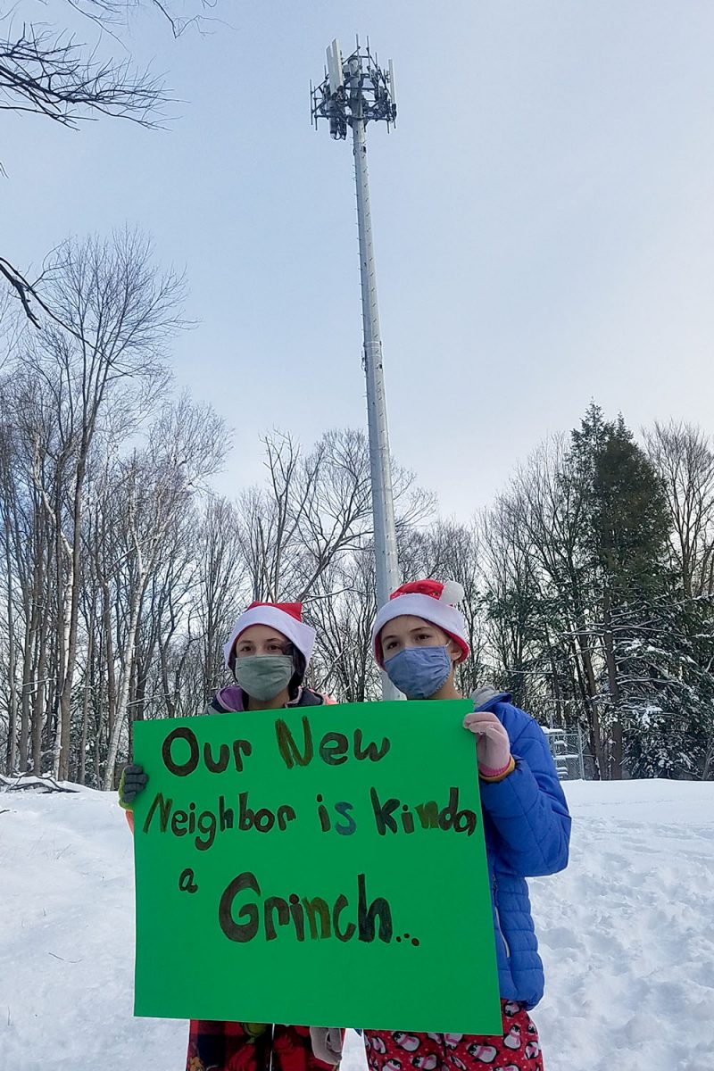 Pittsfield-MA-Grinch-800×1200 – Wire America